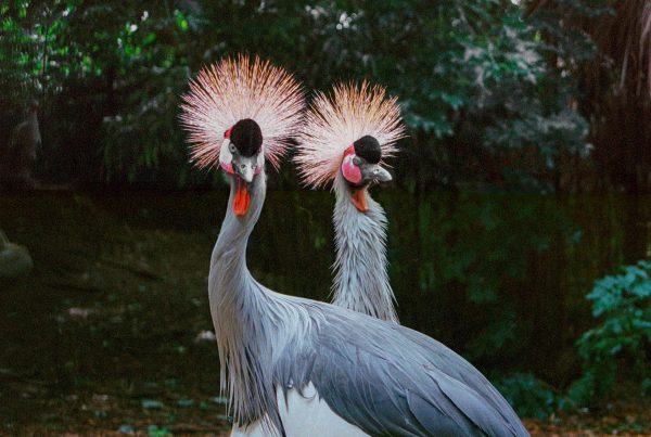 News and Events - Conservation Measures Partnership (CMP)