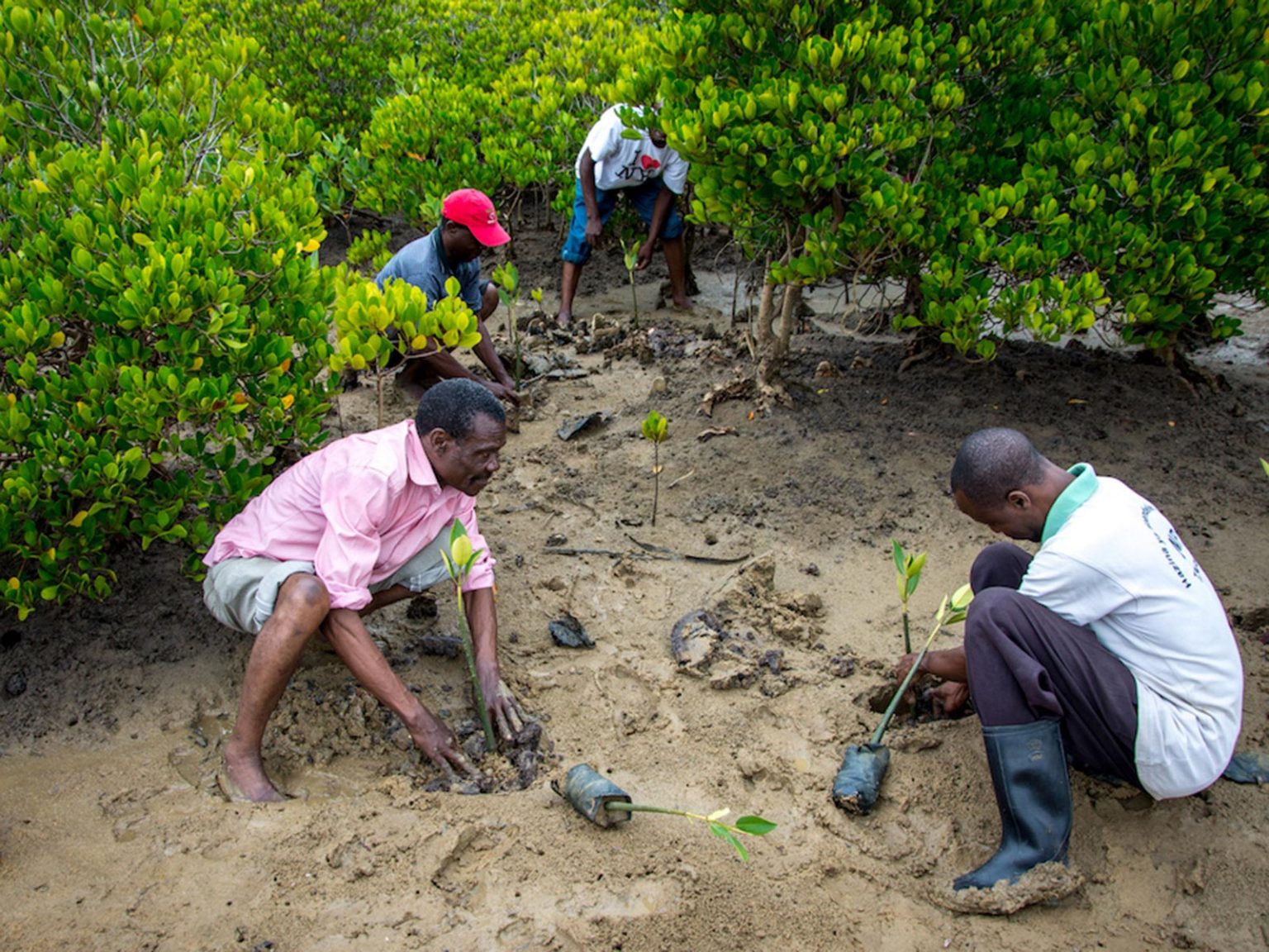 About Conservation Measures - Conservation Measures Partnership (CMP)