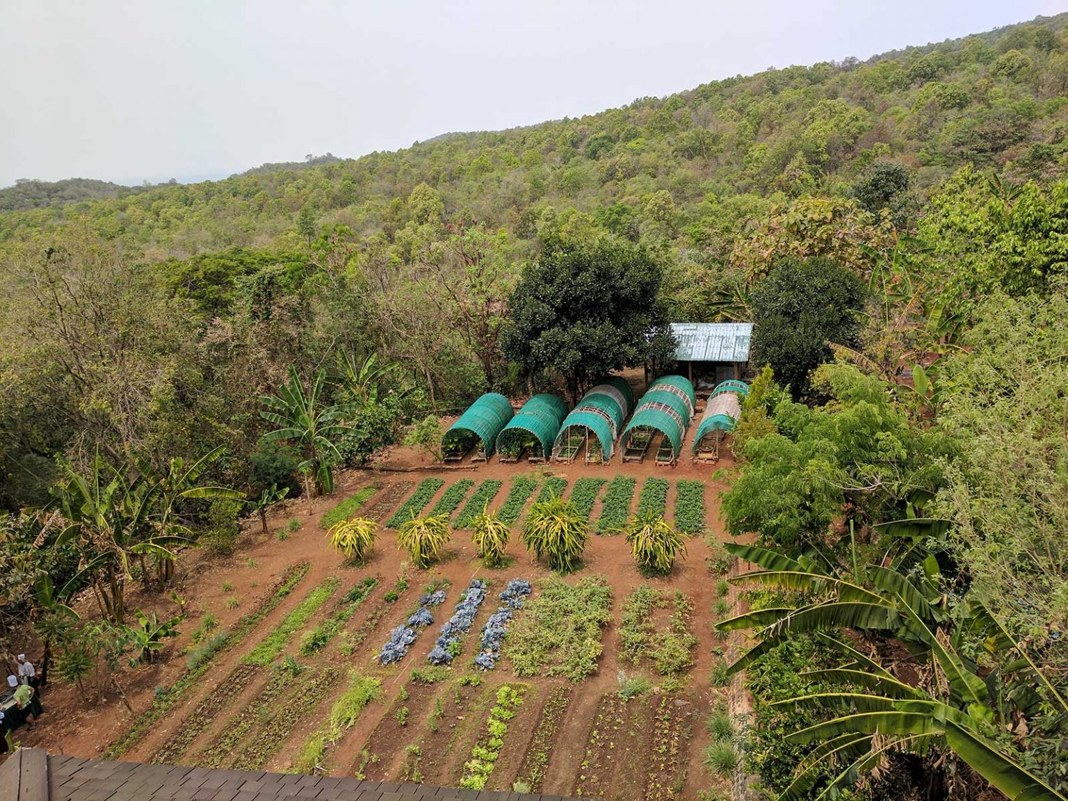 Initiatives - Conservation Measures Partnership (CMP)