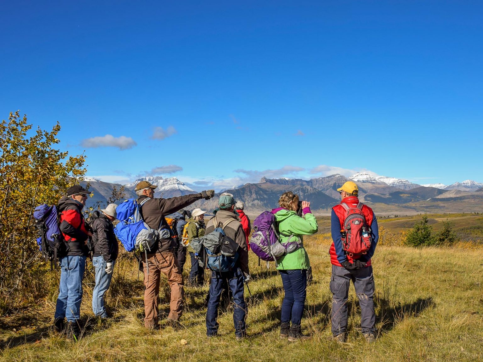 Our Work - Conservation Measures Partnership (CMP)