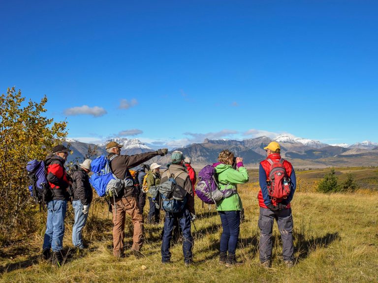 Initiatives - Conservation Measures Partnership (CMP)