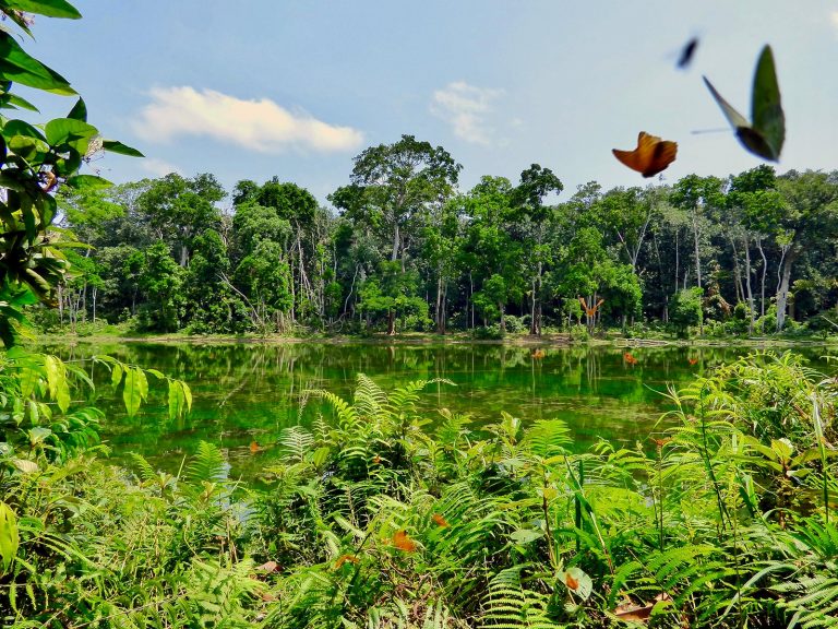 About Conservation Measures - Conservation Measures Partnership (CMP)