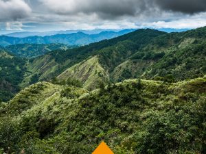 Home - Conservation Measures Partnership (CMP)