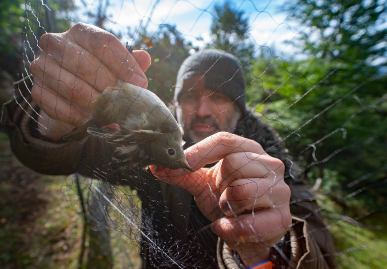 Our Work - Conservation Measures Partnership (CMP)